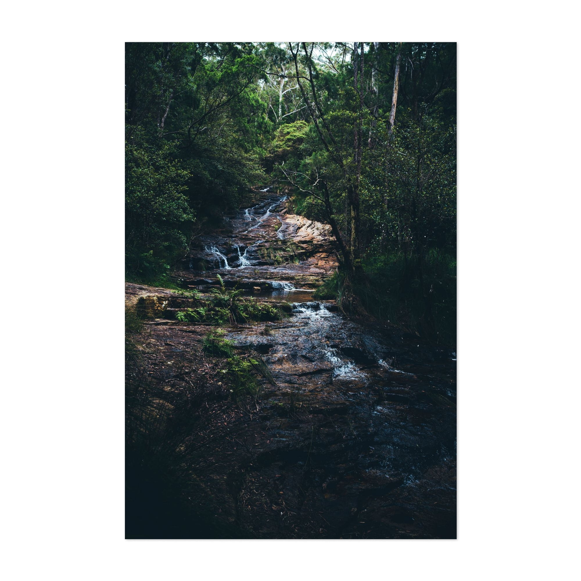 Pandora - Australia Photography Waterfall Forest Nature Woodland Scenic ...