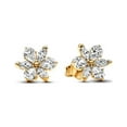 Pandora Herbarium Cluster 14k Gold-Plated Stud Earrings - Walmart.com