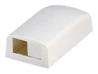 Panduit Surface Mount Box,Mini Com,2Port,Ivory CBX2EI-AY - Walmart.com