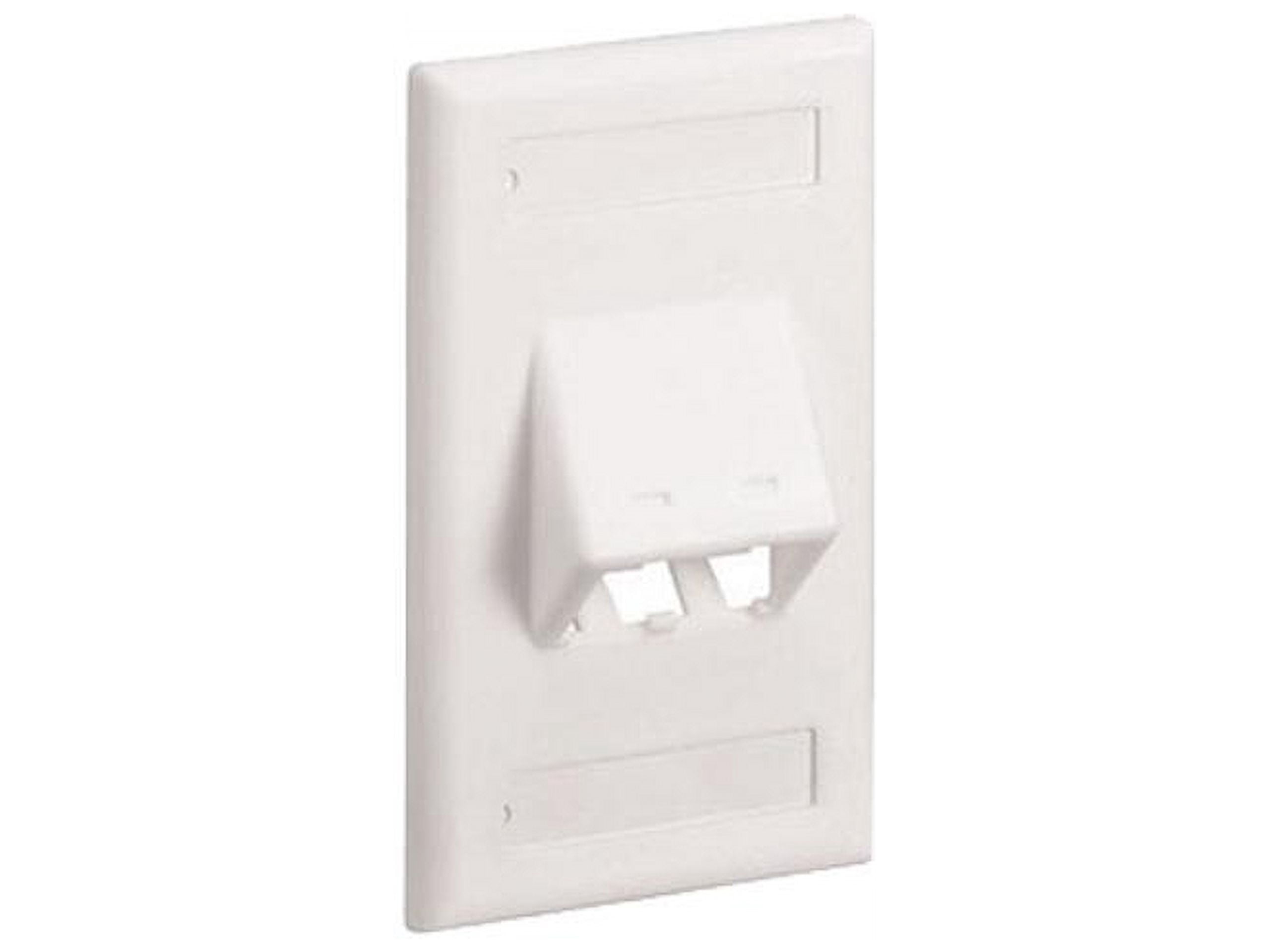 Panduit CFPSL2IWY Faceplate - Walmart.com