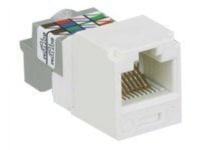 Panduit CJ688TPIG Category-6 8-Wire TP-Style Jack Module, International ...