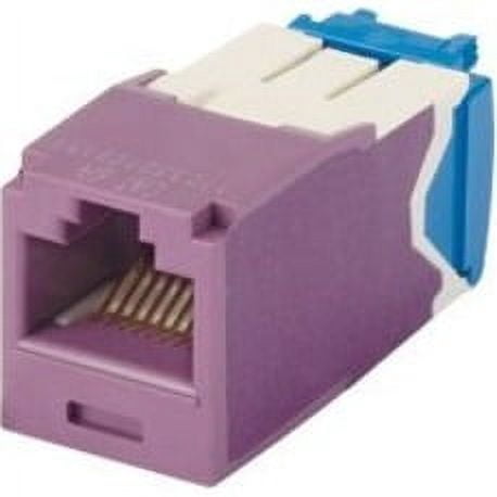 Panduit CJ6X88TGVL Cat6A UTP 8P 8W Univ Vl Jack Module - Walmart.com