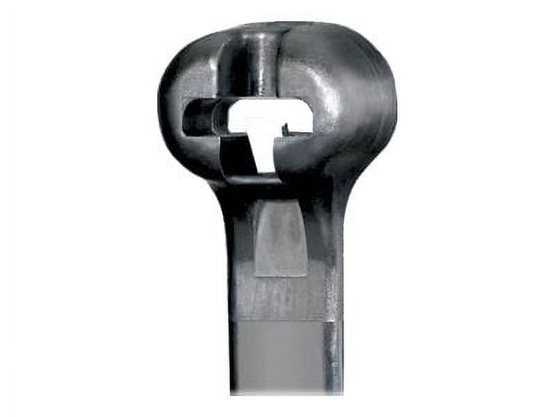 Panduit 8 in Black Nylon Cable Tie with Stainless Steel Barb, PK100 ...