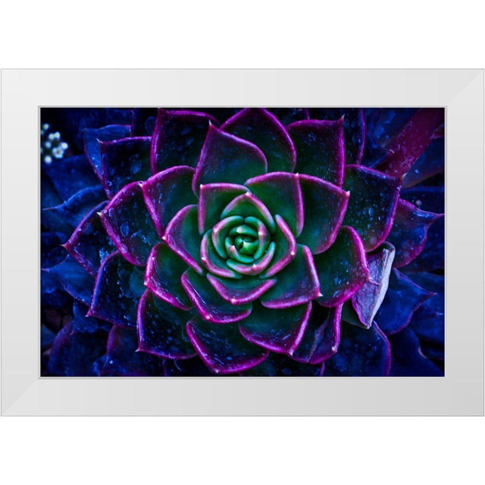 Pandya, Hardik 14x11 White Modern Wood Framed Museum Art Print Titled ...