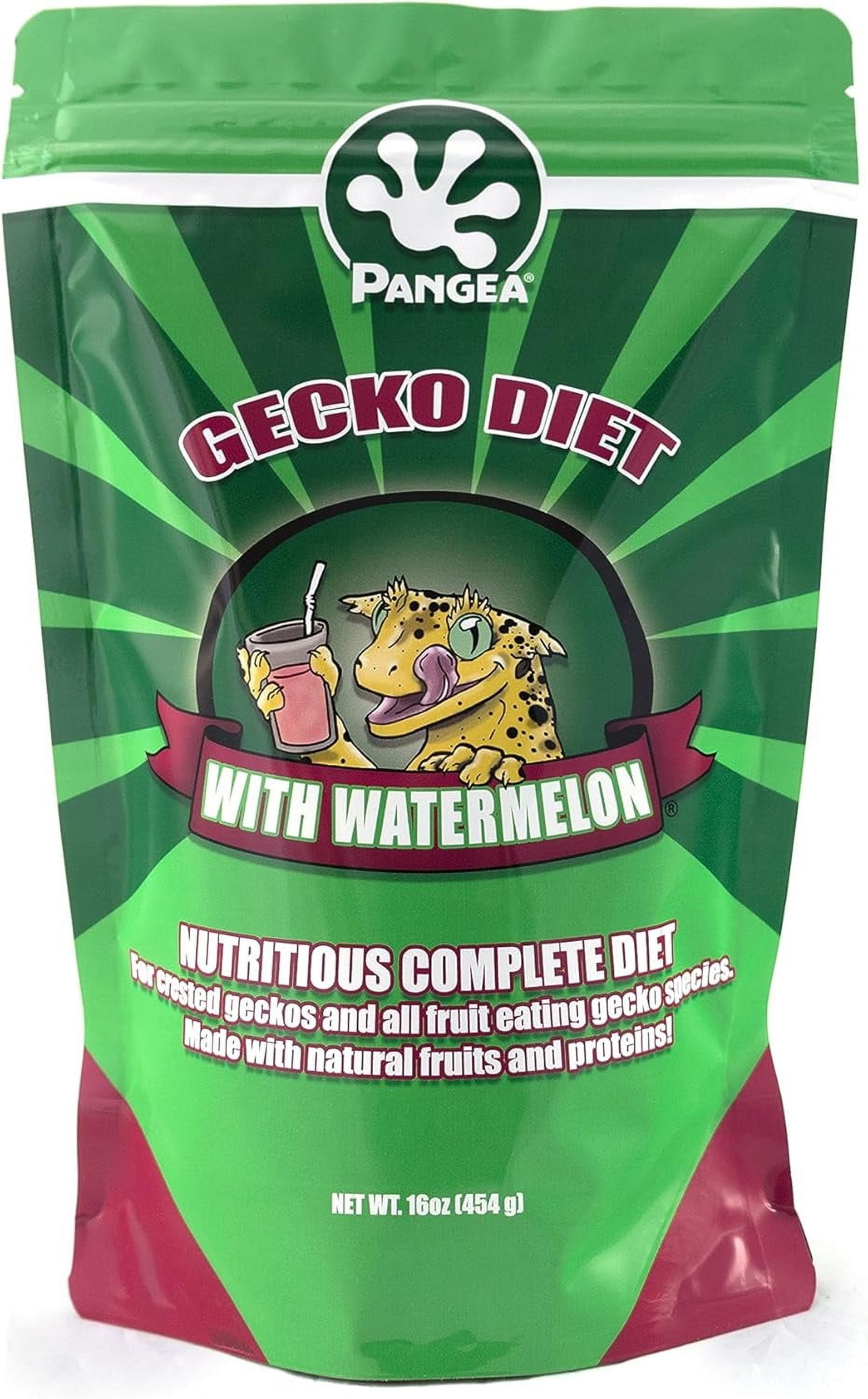 Pangea Fruit Mix Watermelon Complete Gecko Diet 1 lb - Walmart.com