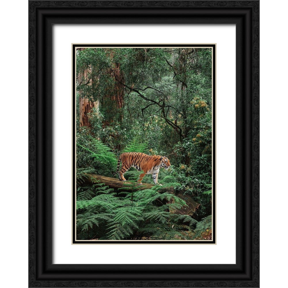 Pangea Images 11x14 Black Ornate Wood Framed with Double Matting Museum ...