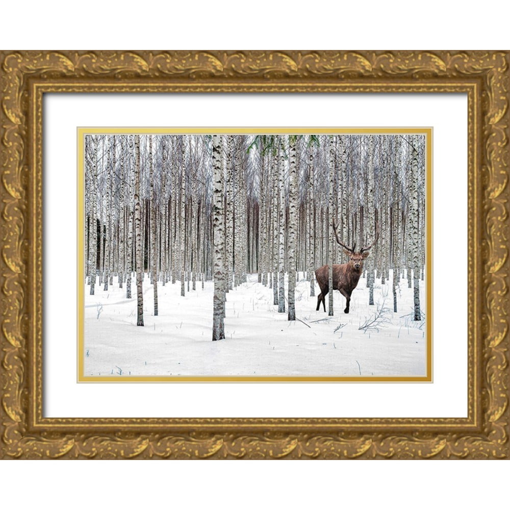 Pangea Images 14x11 Gold Ornate Wood Framed with Double Matting Museum ...