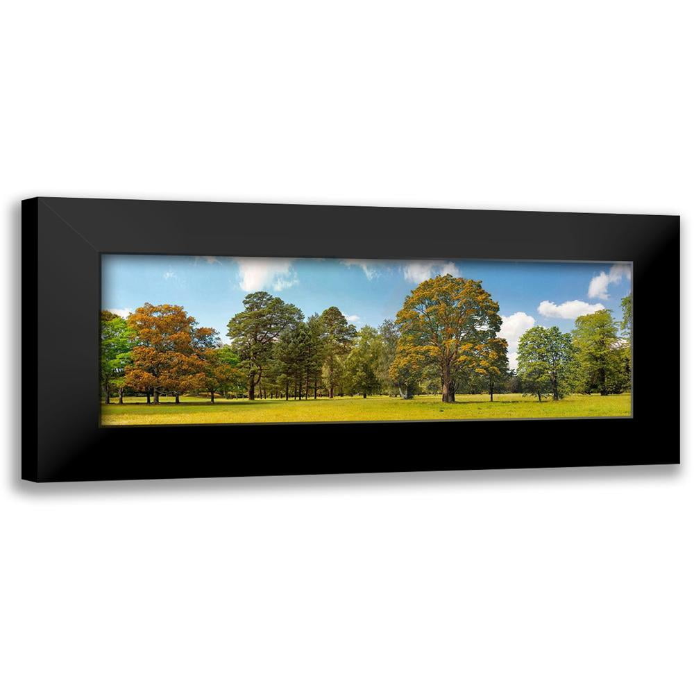 Pangea Images 14x7 Black Modern Framed Museum Art Print Titled - Trees ...