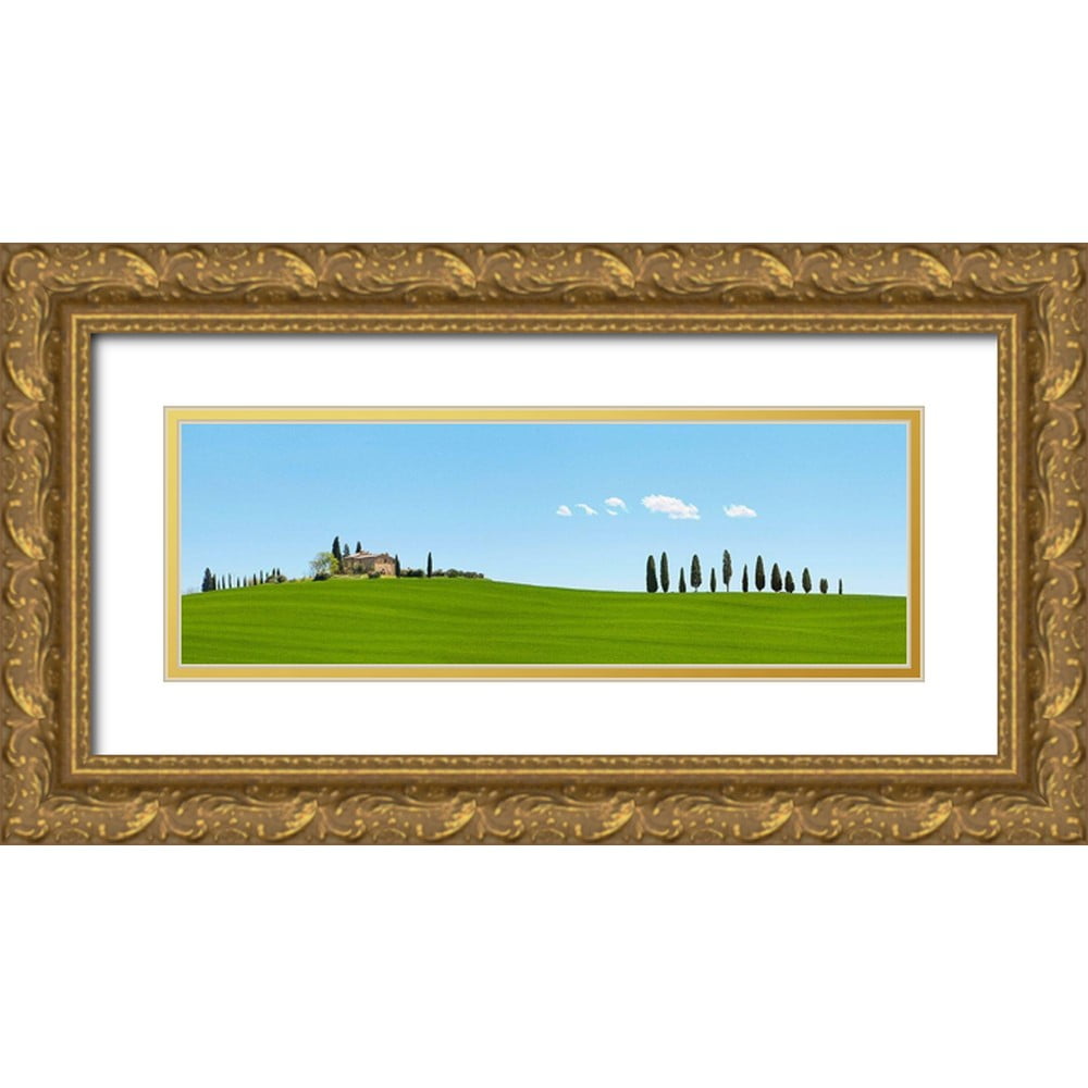 Pangea Images 14x7 Gold Ornate Wood Framed with Double Matting Museum ...