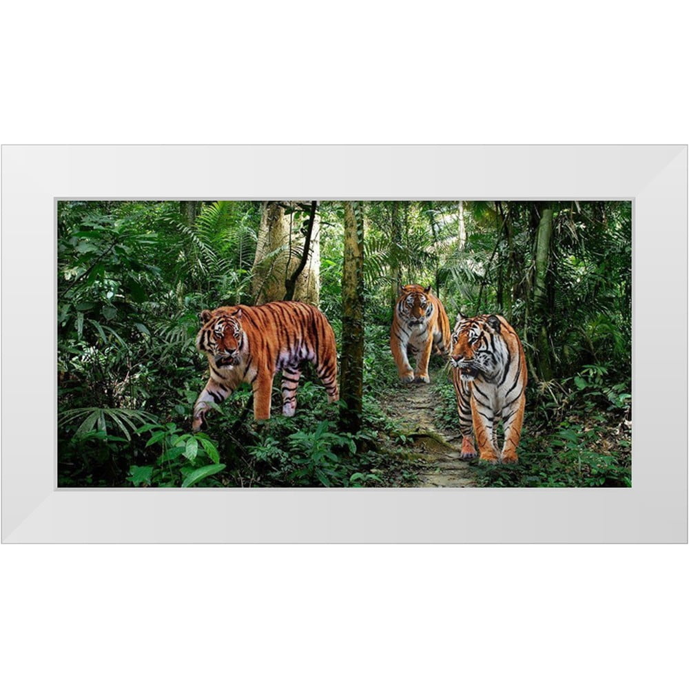 Pangea Images 14x9 White Modern Wood Framed Museum Art Print Titled ...