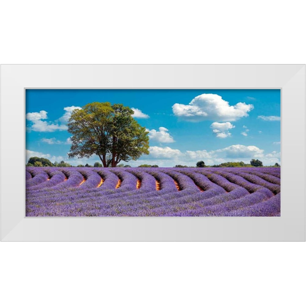 Pangea Images 18x11 White Modern Wood Framed Museum Art Print Titled - Lavender Field in ...