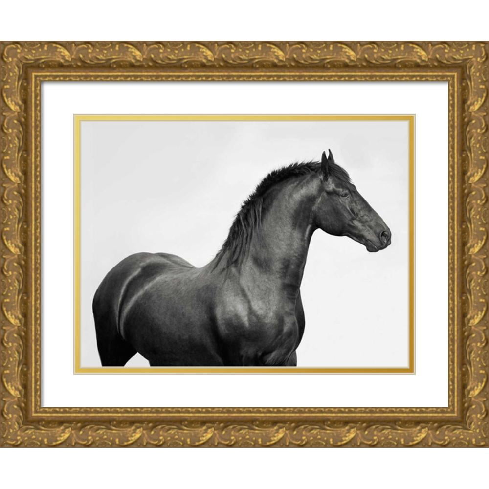 Pangea Images 18x15 Gold Ornate Wood Framed with Double Matting Museum ...