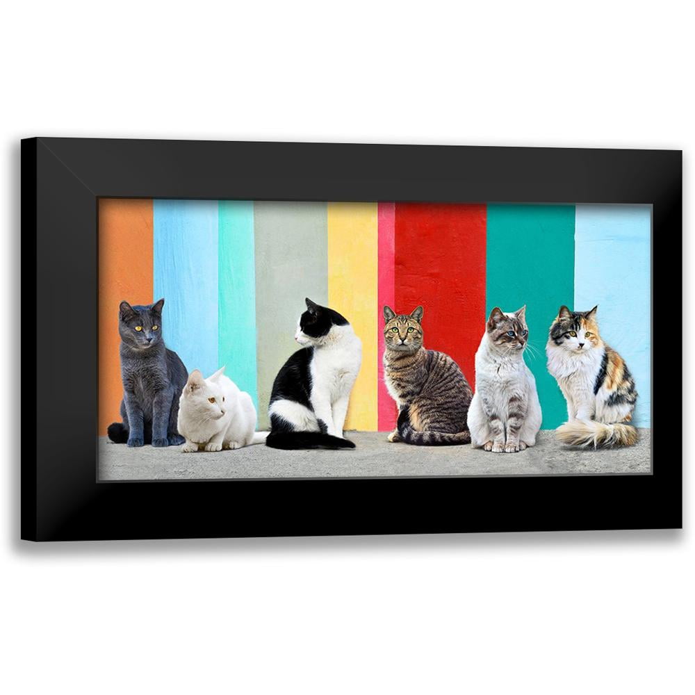Pangea Images 24x14 Black Modern Framed Museum Art Print Titled - Cats ...