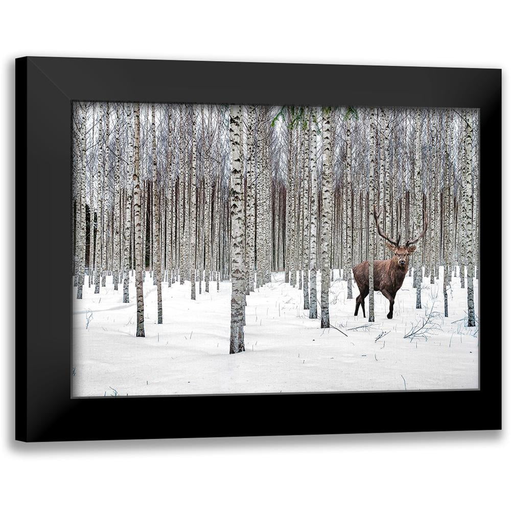 Pangea Images 24x18 Black Modern Framed Museum Art Print Titled - Stag ...
