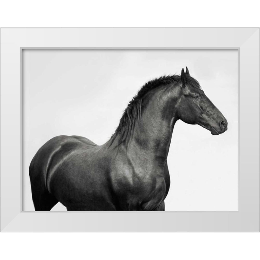 Pangea Images 32x25 White Modern Wood Framed Museum Art Print Titled ...