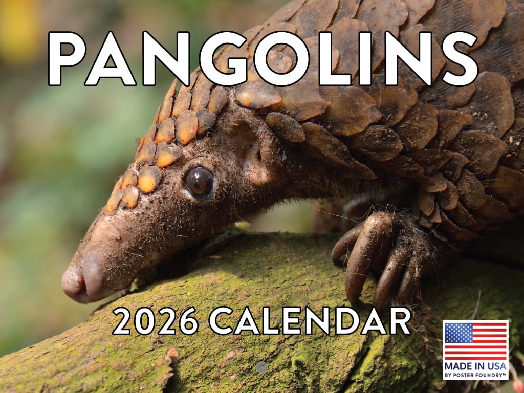 Pangolin Calendar 2026 Monthly Wall Calender 12 Month | American Made ...