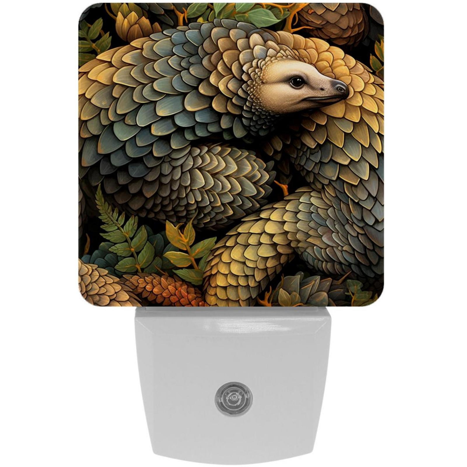 Pangolin Enhance Your Space with LED Square Night Lights - Versatile ...