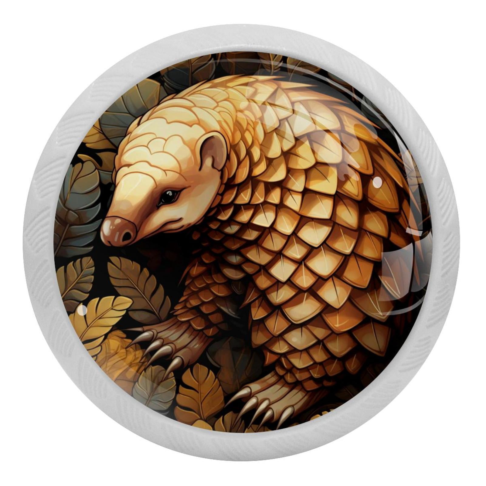 Pangolin Fluorescent Drawer Pulls with Screws: Round 4-Pack Glow-in-the ...