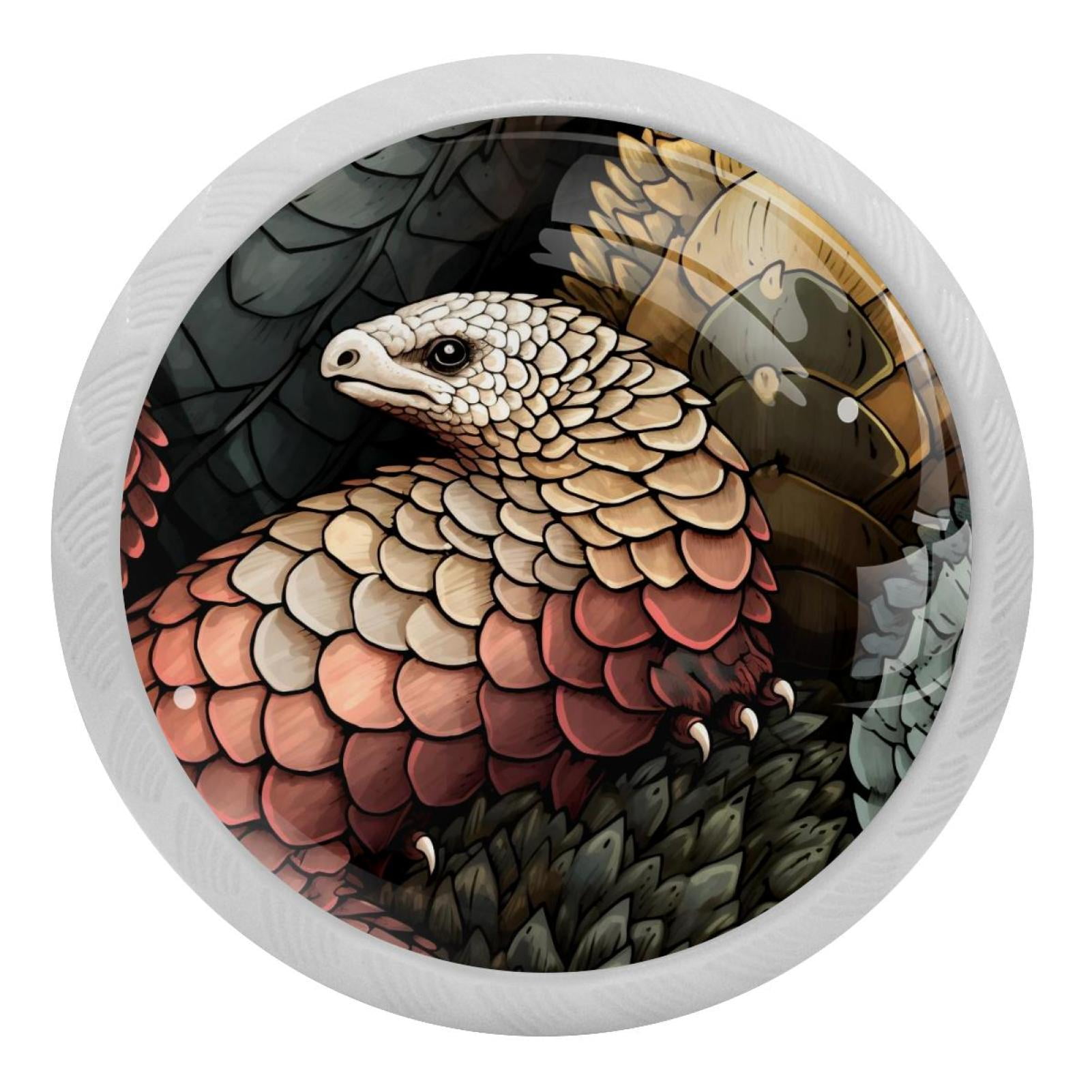 Pangolin Round Glow-in-the-Dark Cabinet Knobs with Screws - 4 Pack ...