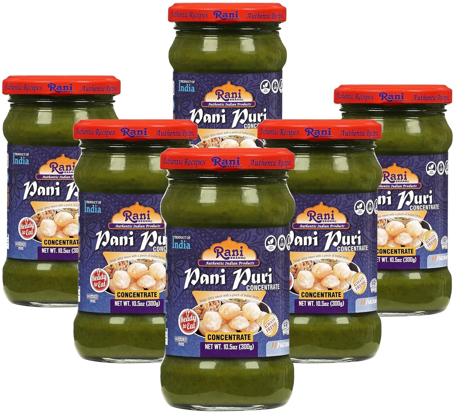 Pani Concentrate (Sweet & Spicy to Make Pani Water/Spicy Water) 10.5oz ...