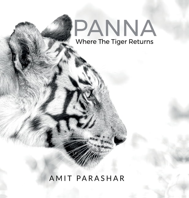 Panna: Where the Tiger Returns, (Hardcover) - Walmart.com