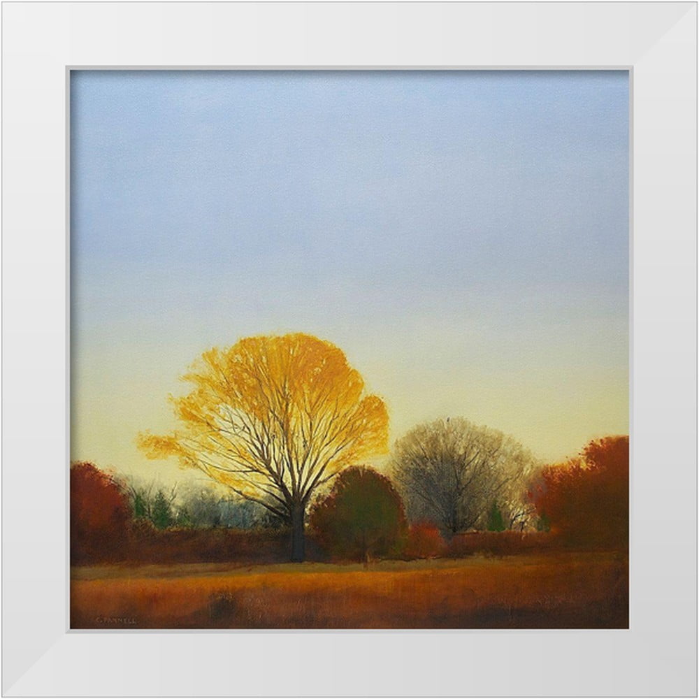 Pannell, Cap 12x12 White Modern Wood Framed Museum Art Print Titled ...