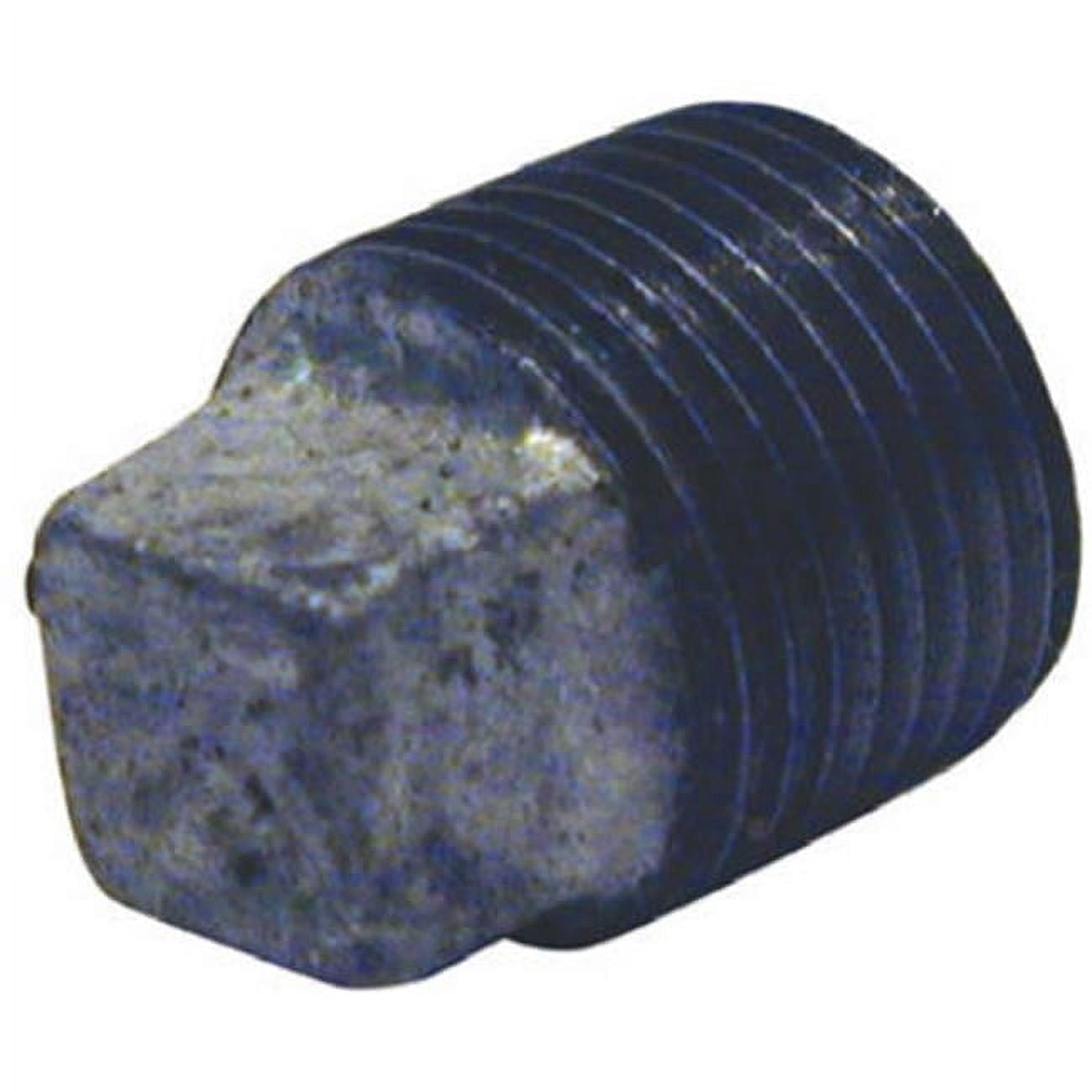 Pannext Fittings G-PLG12 1.25 in. Galvanized Plug Plain Forged ...