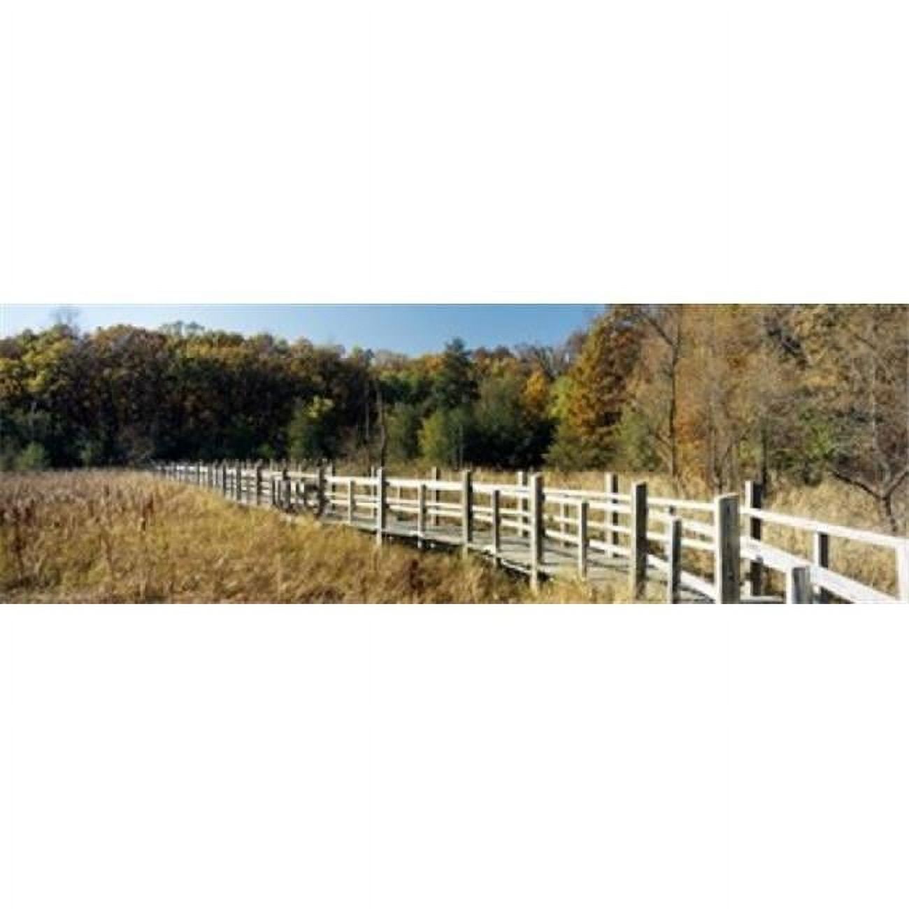 Panoramic Images Boardwalk passing through a forest University of ...