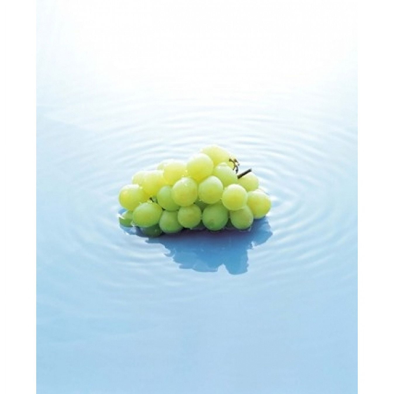 Panoramic Images PPI126935 Bunch of Grapes Floating On Water Poster ...