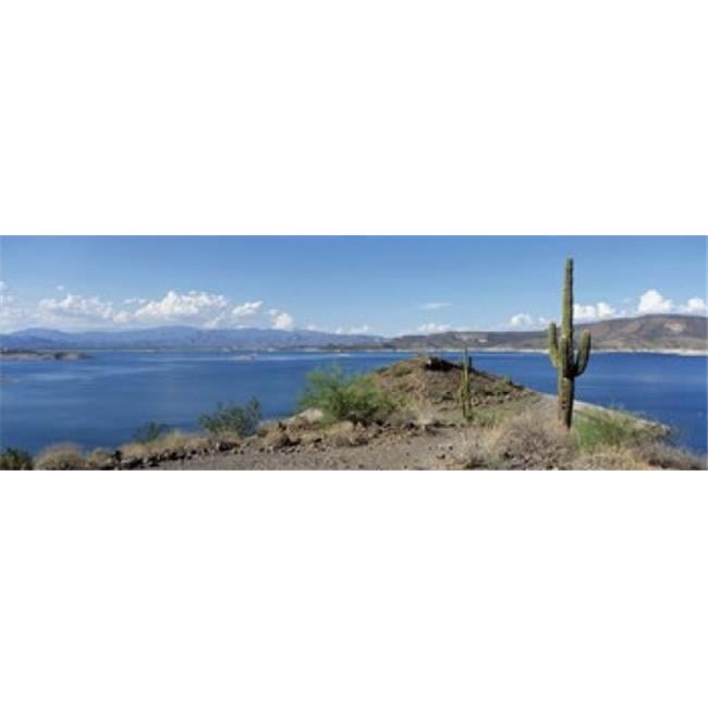 Panoramic Images PPI114886L Cactus at the lakeside with a mountain ...