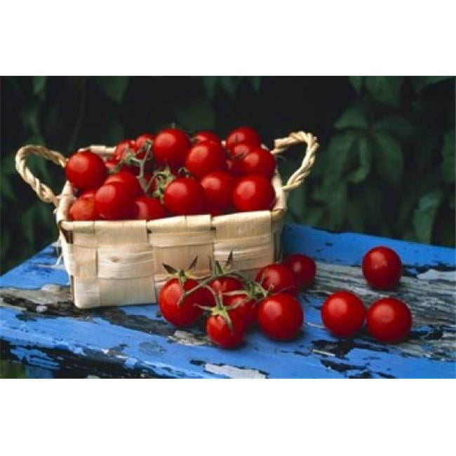 Panoramic Images PPI117918 Still life of cherry tomatoes in a ...
