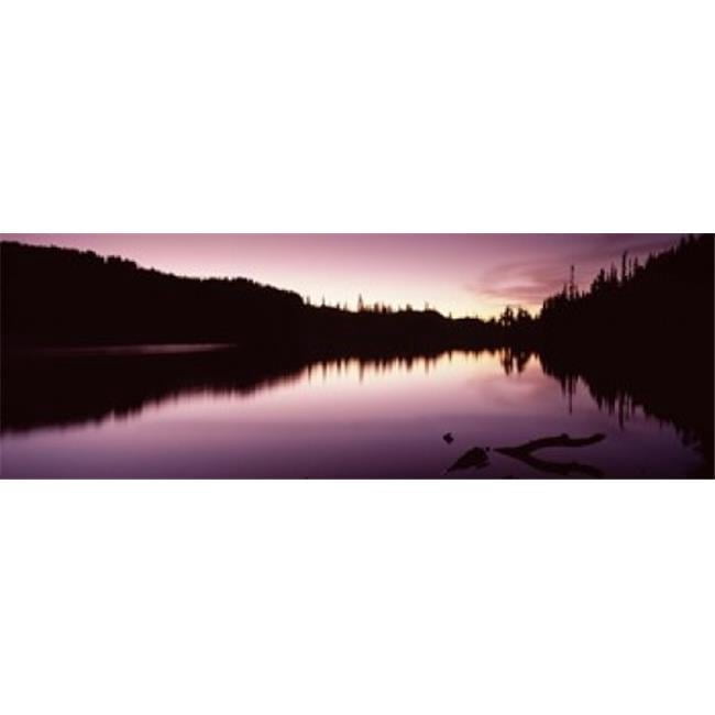 Panoramic Images PPI118870L Reflection of trees in a lake Mt Rainier ...