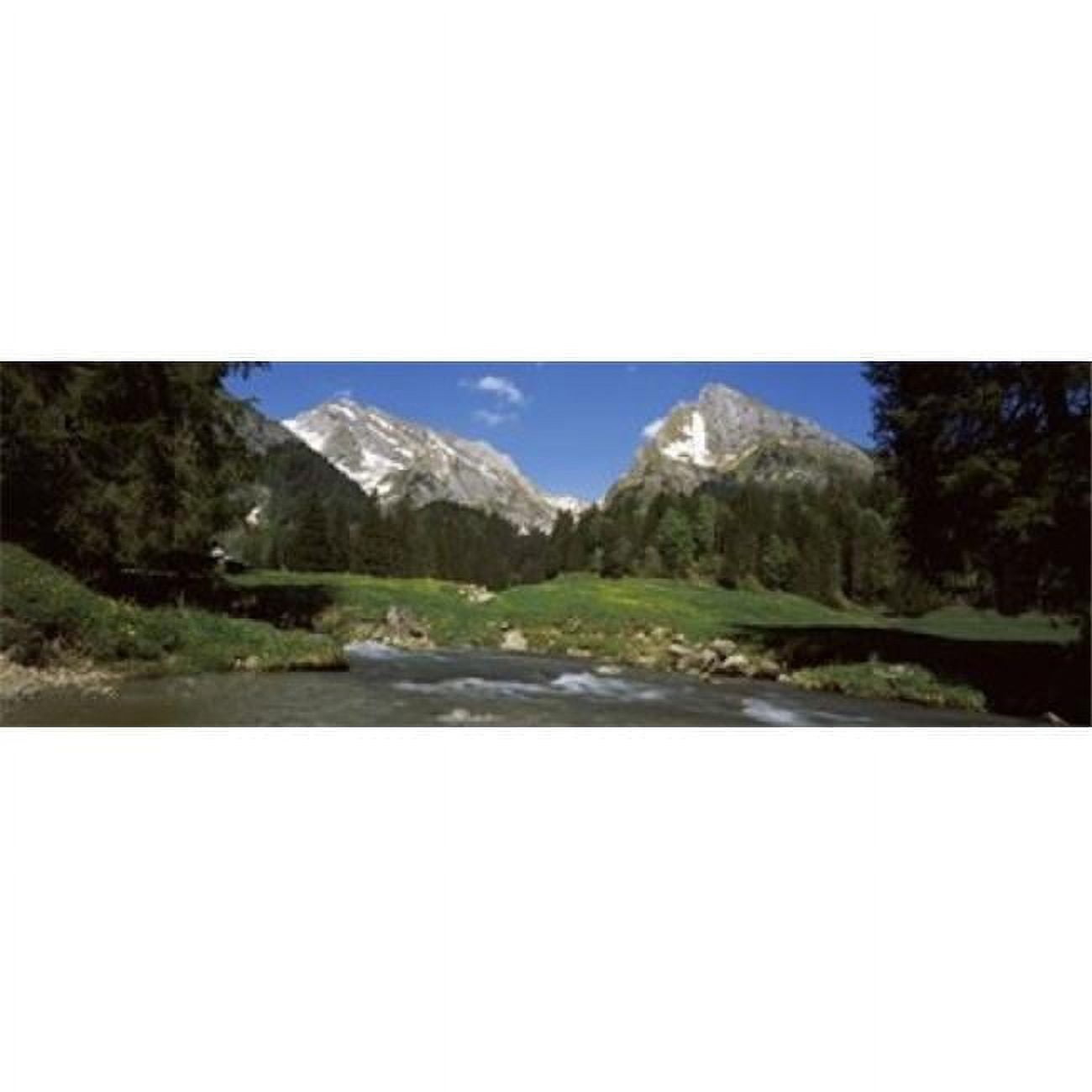 Panoramic Images PPI126459S Stream Flowing Through A Forest Mt Santis ...