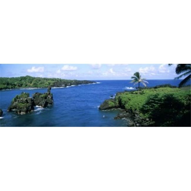 Panoramic Images PPI134436L High angle view of a coast Hana Coast Black ...