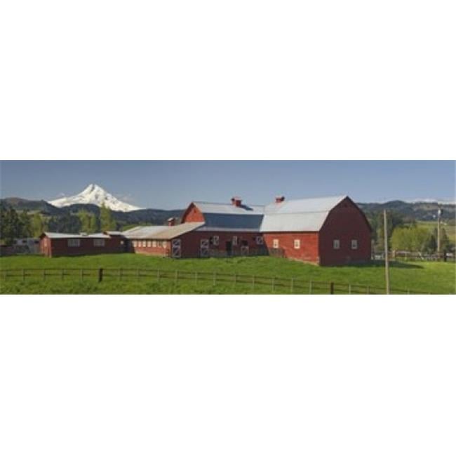 Panoramic Images PPI141026L Barns in field with mountains in the background Mt Hood The Dalles ...