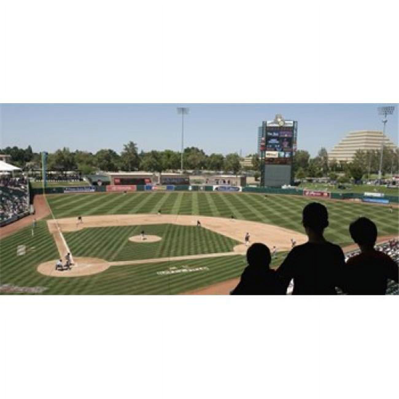 Panoramic Images PPI144078L Spectator watching a baseball match at ...