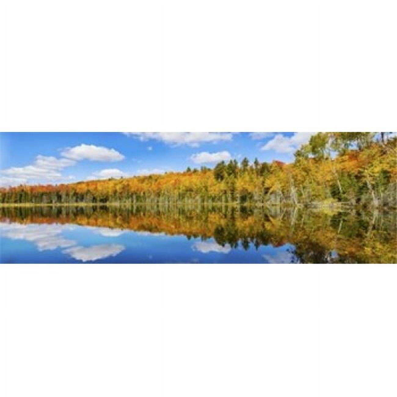 Panoramic Images PPI147139L Reflection of trees in a lake Petes Lake ...