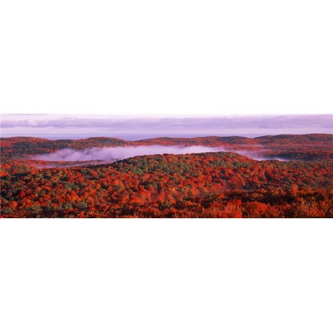 Panoramic Images PPI56446LARGE View From Summit Peak Porcupine ...