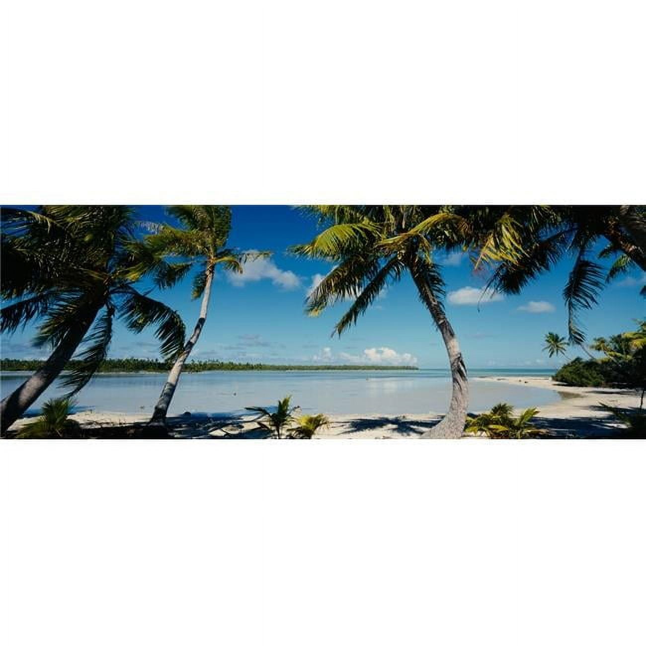 Panoramic Images PPI81499L Palm Trees On The Beach Mataiva Tuamoto ...