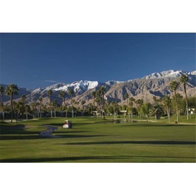 Panoramic Images Palm trees in a golf course Desert Princess Country ...