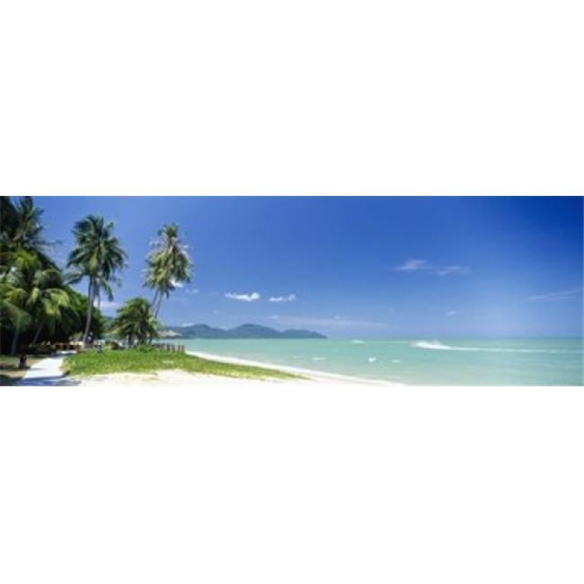 Panoramic Images Palm trees on the beach Penang State Malaysia Poster ...