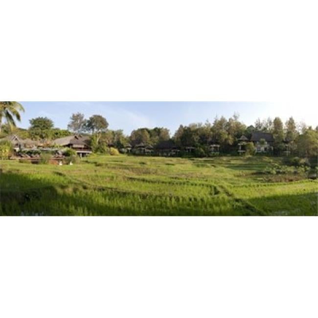 Panoramic Images Rice fields in front of villas Four Seasons Resort Chiang Mai Chiang Mai ...