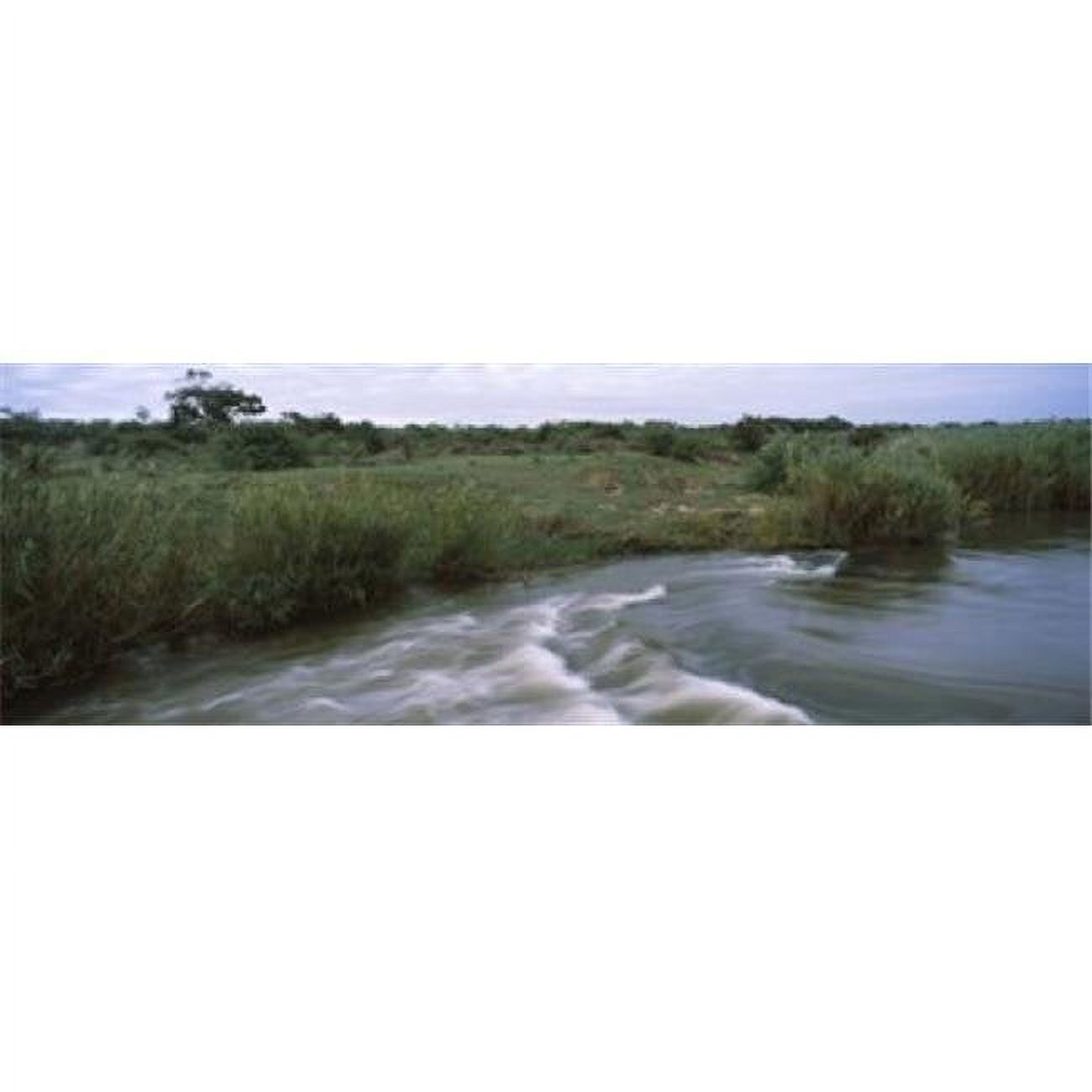 Panoramic Images River flowing through a forest Sabie River Kruger ...