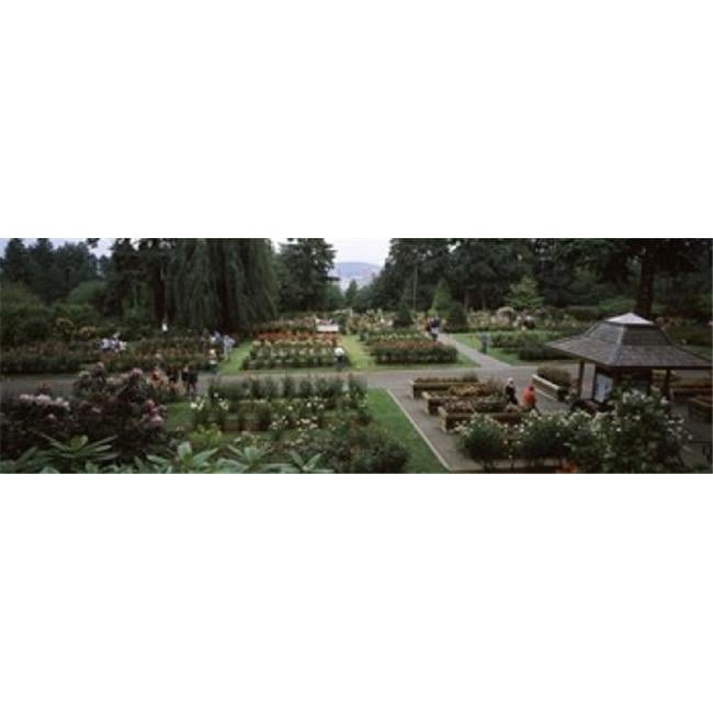 Panoramic Images Tourists in a rose garden International Rose Test ...