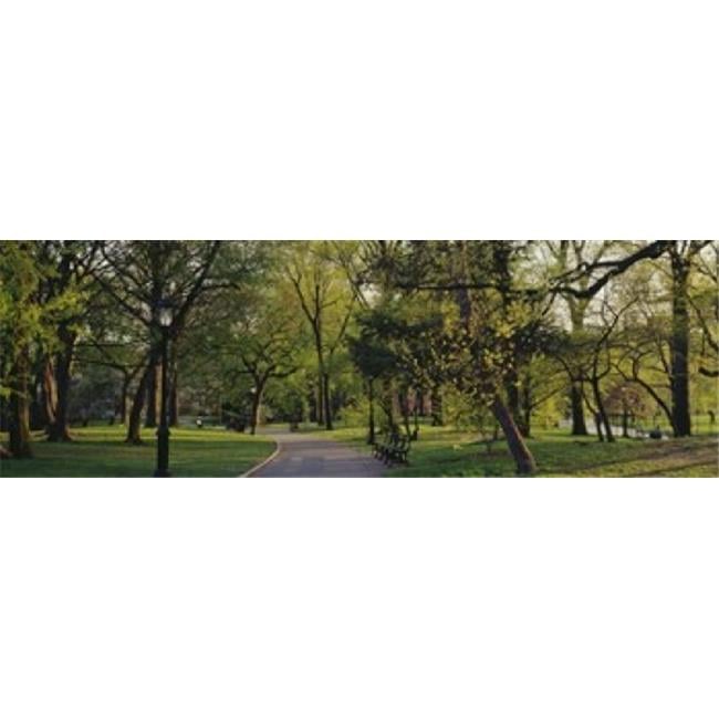 Panoramic Images Trees In A Park Central Park NYC New York City New ...
