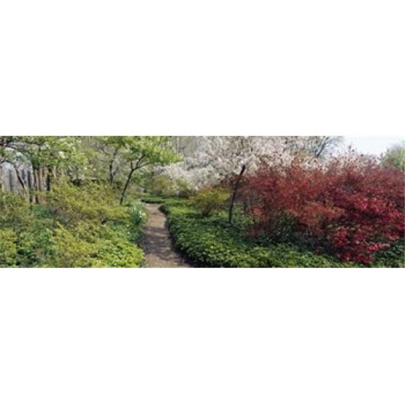 Panoramic Images Trees in a garden Garden of Eden Ladew Topiary Gardens ...