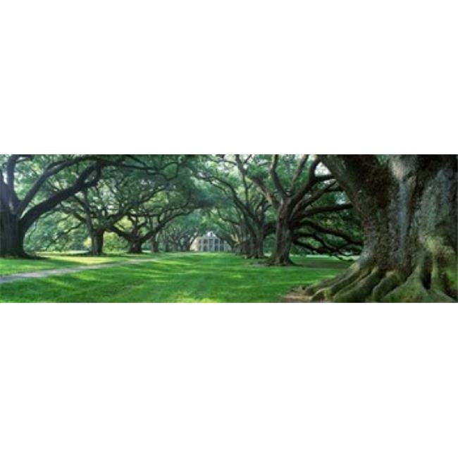 Panoramic Images USA Louisiana New Orleans Oak Alley Plantation ...