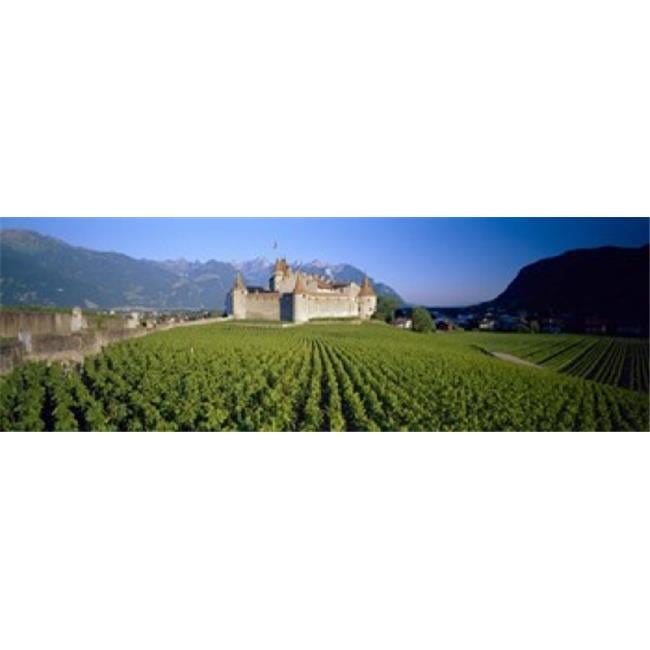 Panoramic Images Vineyard in front of a castle Aigle Castle Musee de la ...