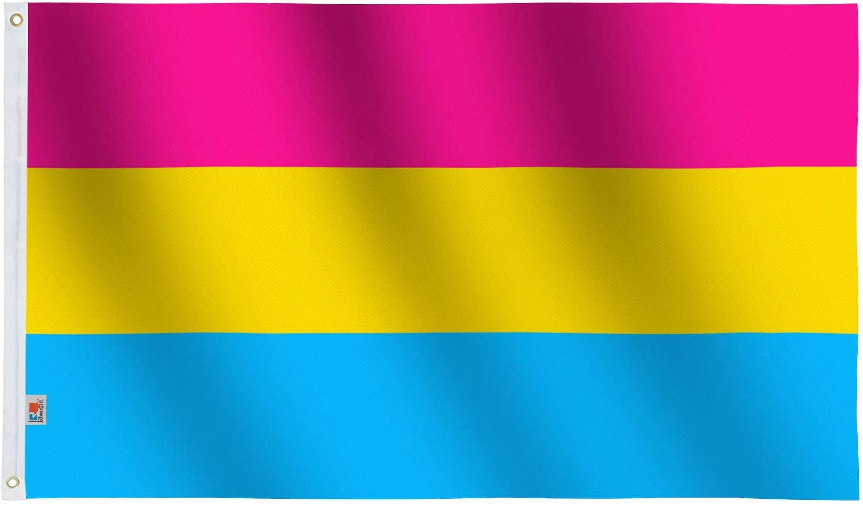 Pansexual Flag, 3Ply Polyester Heavy Duty Double Sided LGBT ...