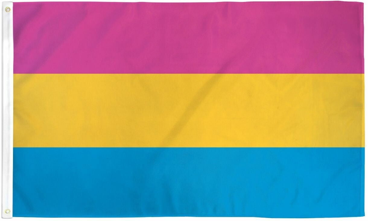 Pansexual Flag 3x5 LGBTQIA Pansexual Pride Pan Pride LGBT 75D ...